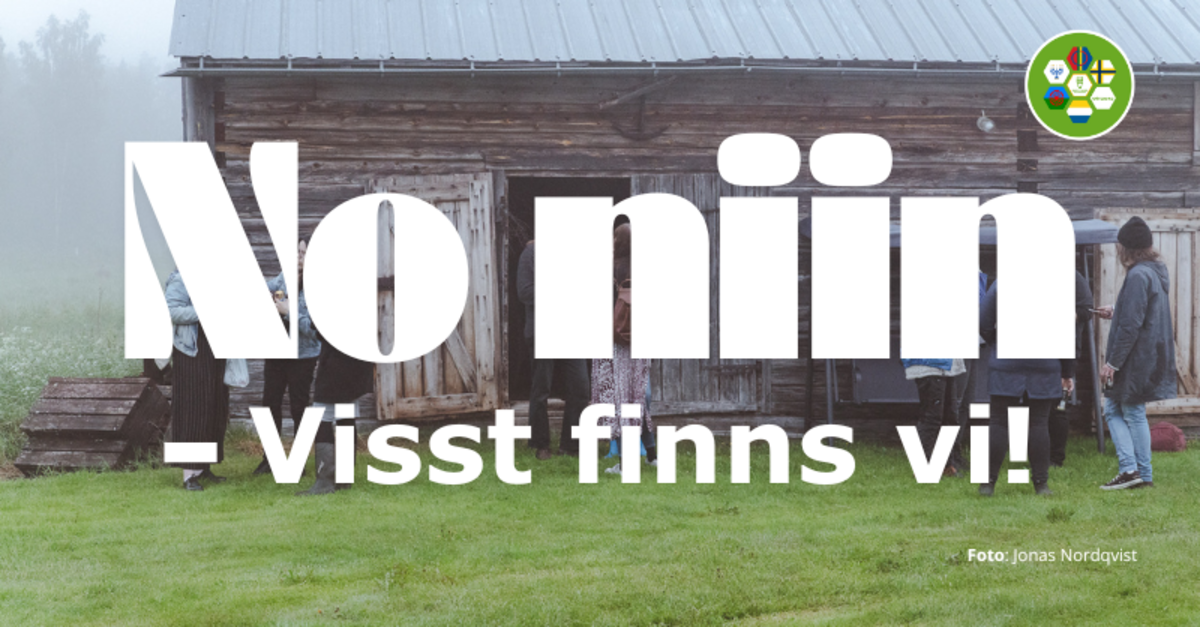 No niin – Visst finns vi! Studieförbundet Vuxenskolan